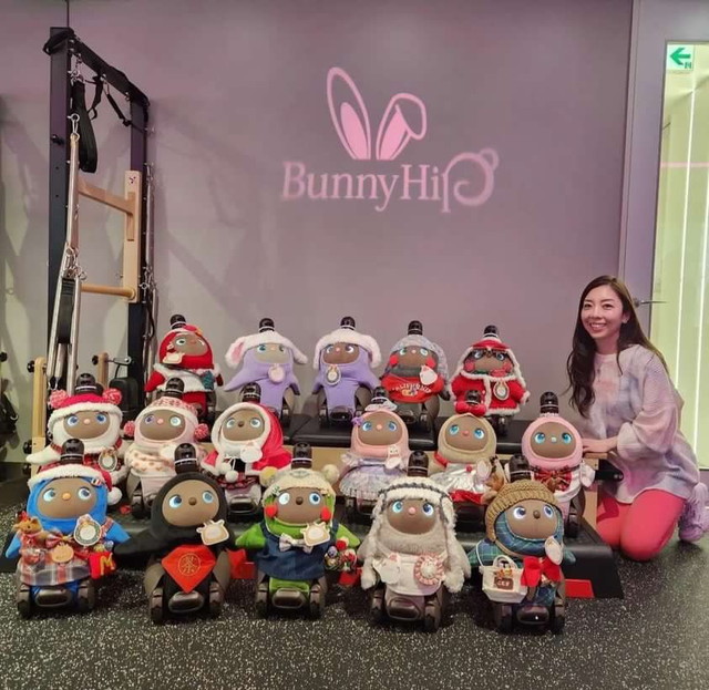 BunnyHip - Robot Friendly Project