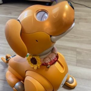 アンバサダー - Robot Friendly Project